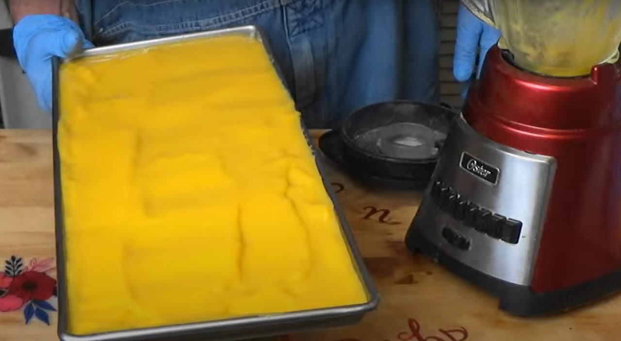 Mango Powder – Freeze Drying Cookbook